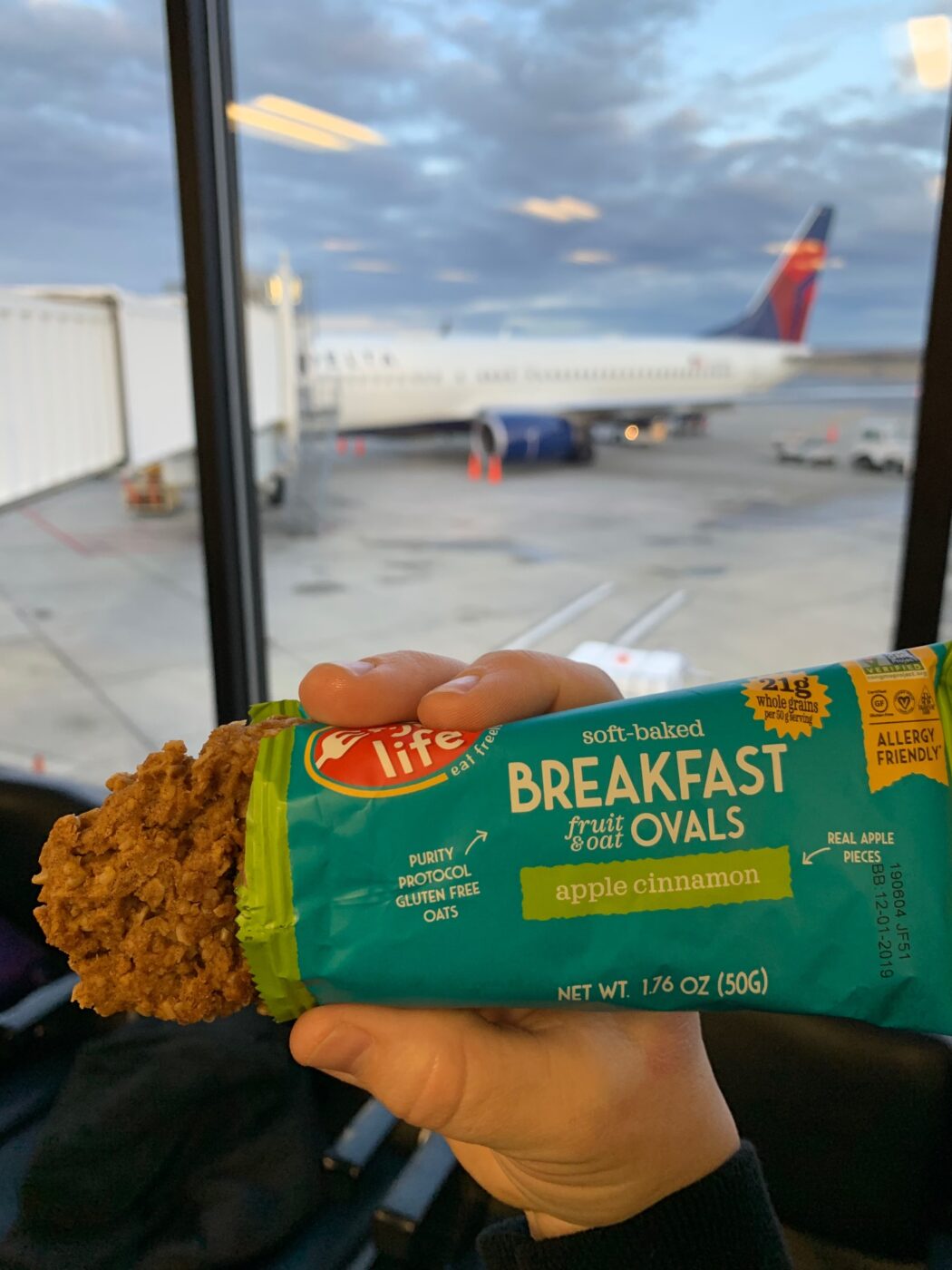 Best TSA Approved Airplane Snacks - Eating Gluten and Dairy Free