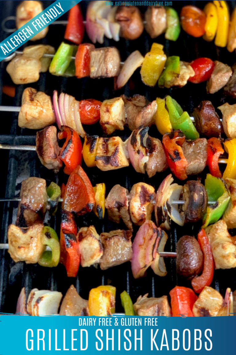 Grilled Shish Kabobs