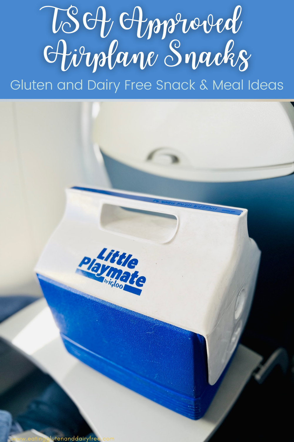 Best TSA Approved Airplane Snacks - Eating Gluten and Dairy Free