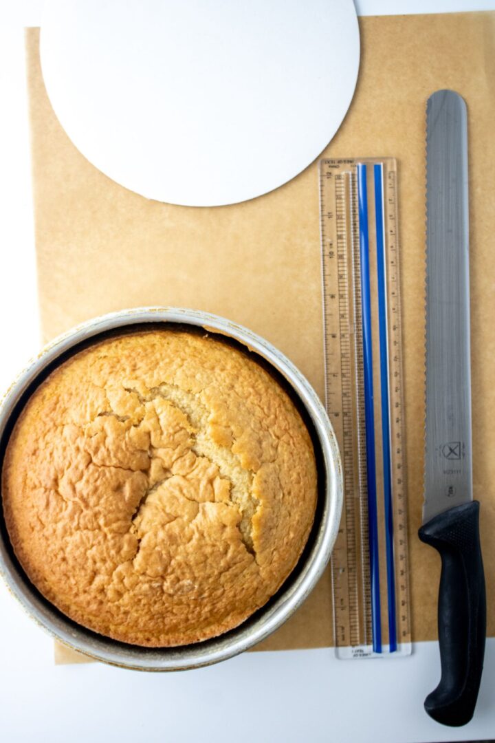 Bluey Cake Recipe (and SUPER easy Tutorial)