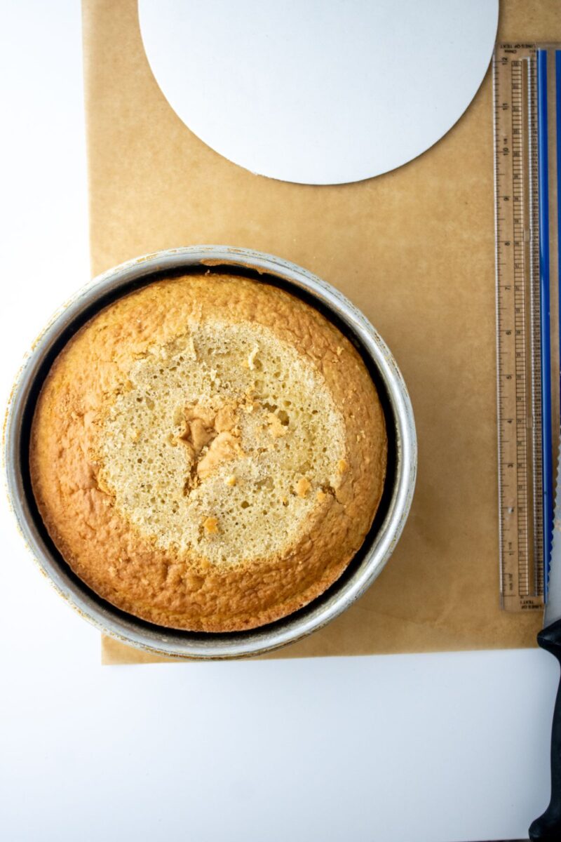 Bluey Cake Recipe (and SUPER easy Tutorial)