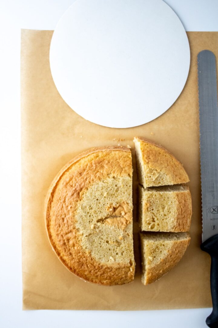 Bluey Cake Recipe (and SUPER easy Tutorial)