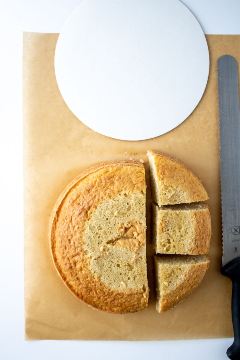 Bluey Cake Recipe (and SUPER easy Tutorial)