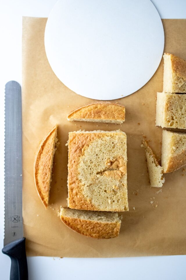 Bluey Cake Recipe (and SUPER easy Tutorial)